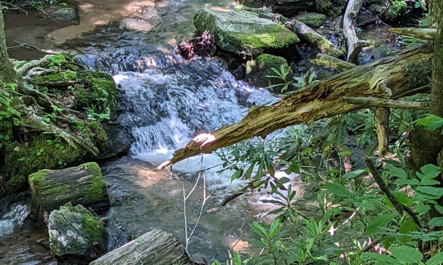 Local Grants – Shared Visions